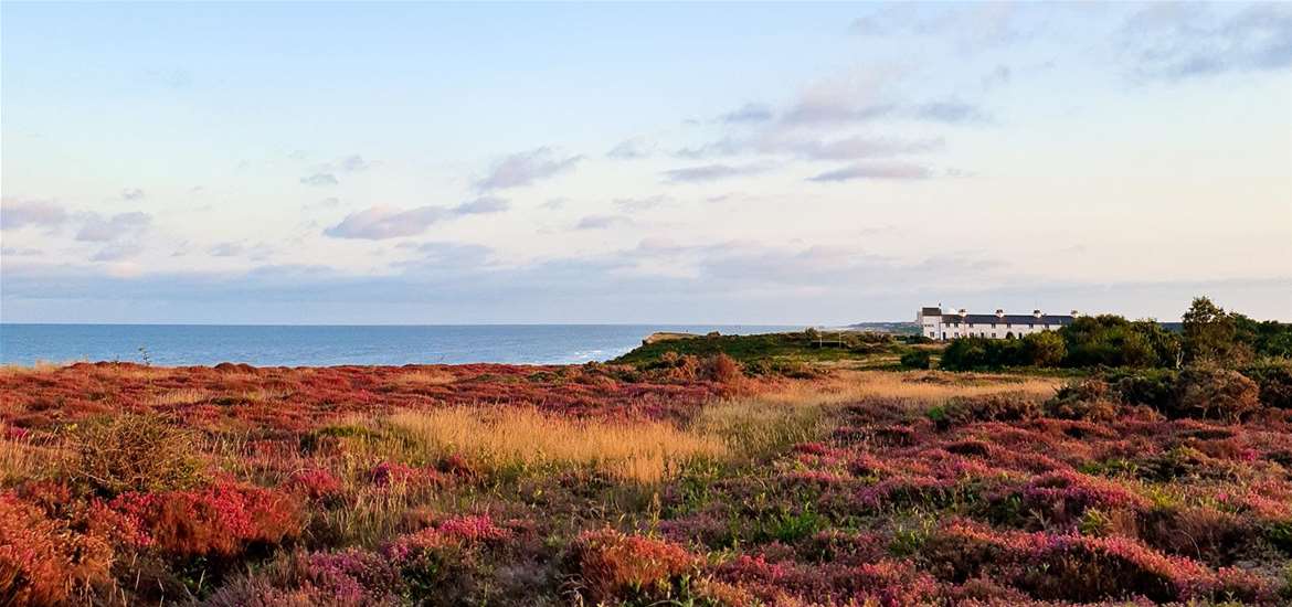 The Suffolk Coast - the holiday guide to the Suffolk Coast