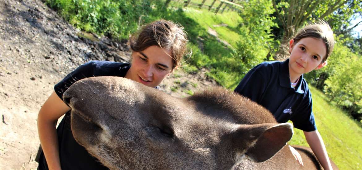 Jimmy's Farm & Wildlife Park - Attractions - Suffolk