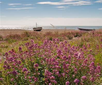 The Suffolk Coast - the holiday guide to the Suffolk Coast