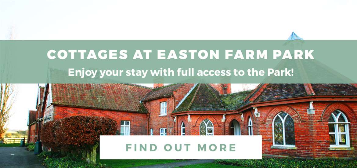 Guide to visiting Aldeburgh in Suffolk