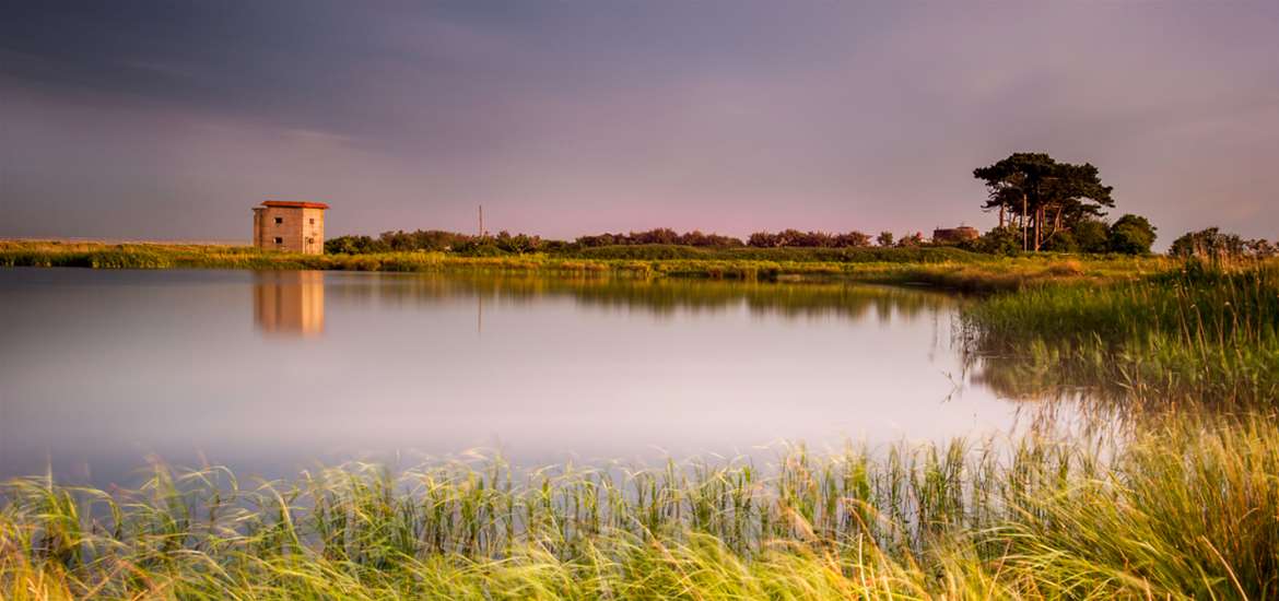 Events on the Suffolk Coast this month