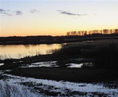 RSPB Minsmere Nature Reserve - Attractions - Suffolk