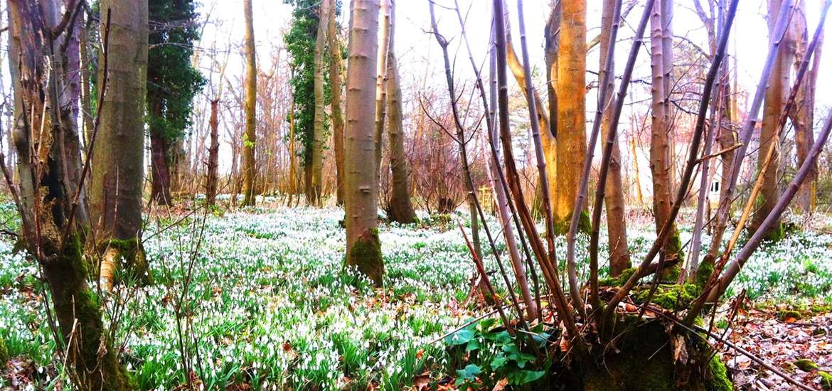 The Suffolk Coast - the holiday guide to the Suffolk Coast