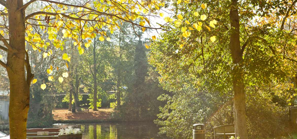 Guide to Westleton Village in Suffolk