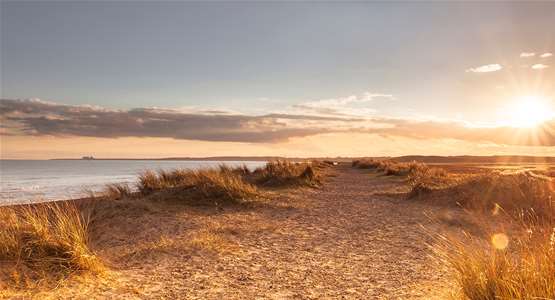 The Suffolk Coast - The Suffolk Coast Holidays Guide